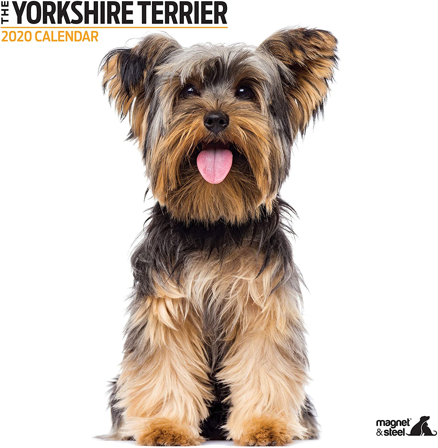Yorkshire Terrier Modern 2020 Calendar - BigaMart