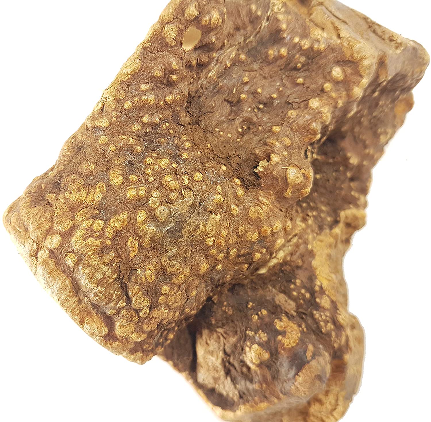 Bio Mordiscos Tree Root Dog Chew – 100% natural (XS 60-150g) – BigaMart