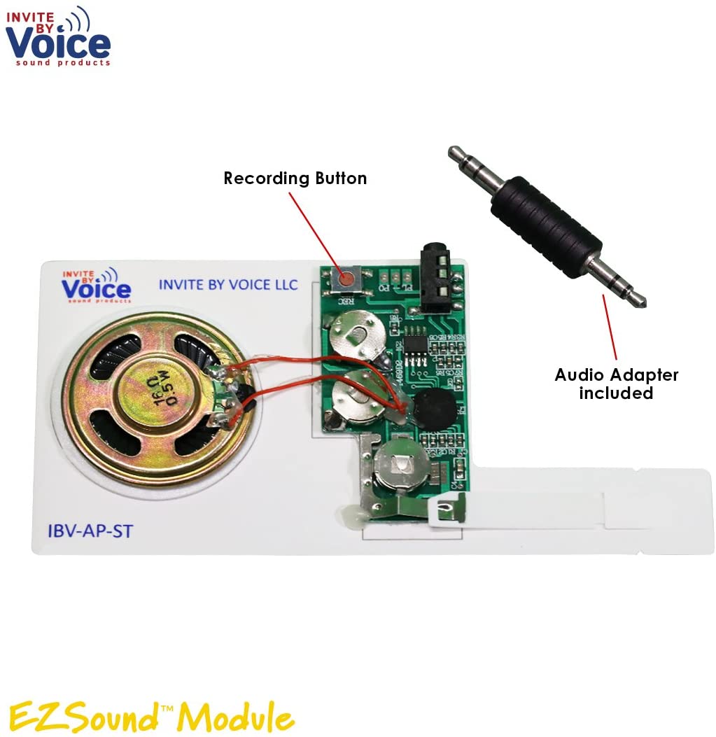 EZSound Module for DIY Audio Cards – Easy to Record – 120 Seconds ...