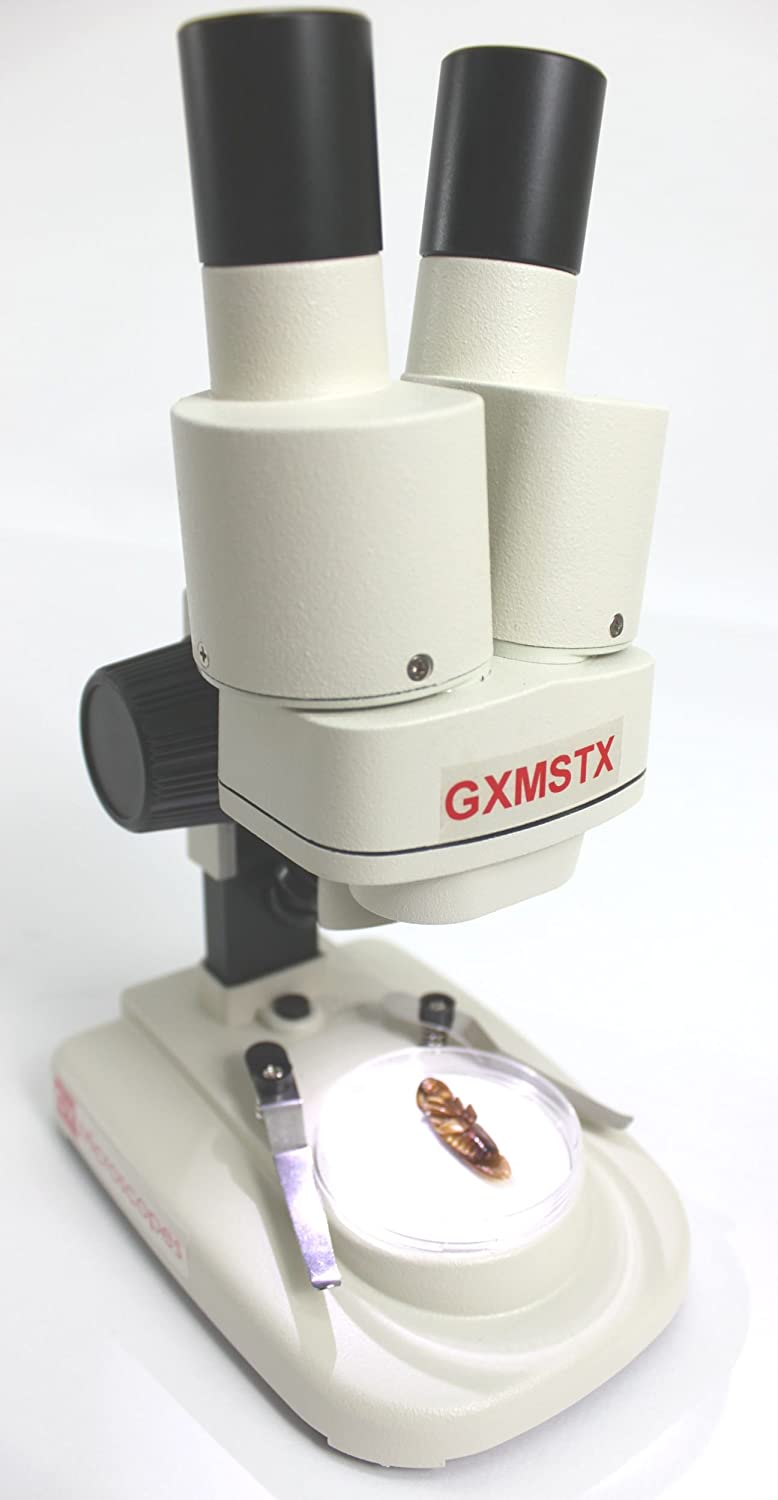 STX Stereo Microscope by GX Microscopes, 20X Magnification LED ...
