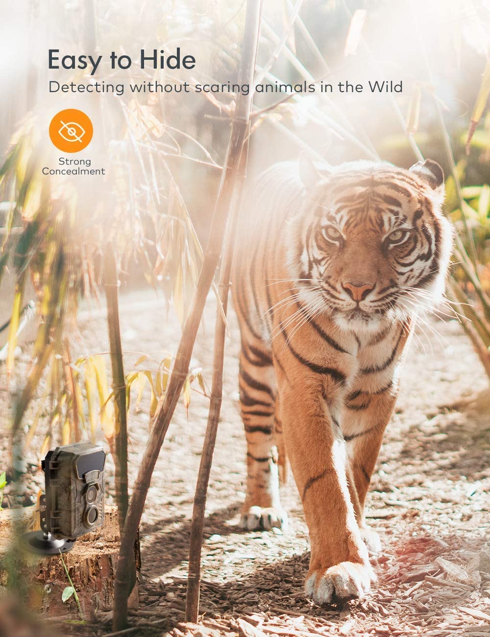 APEMAN Mini Wildlife Camera 16MP 1080P with Infrared Motion Activated ...